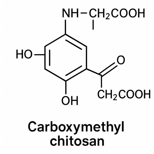 Explore Diverse Types of Chitosan: Applications and Benefits